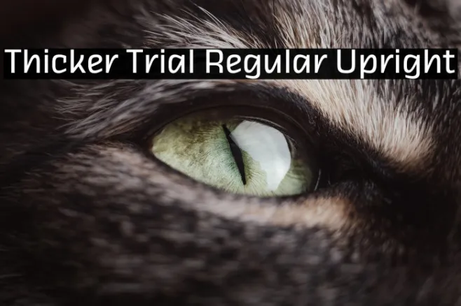Thicker Trial Regular Upright Font | Free Download (TTF/OTF) | FFonts.