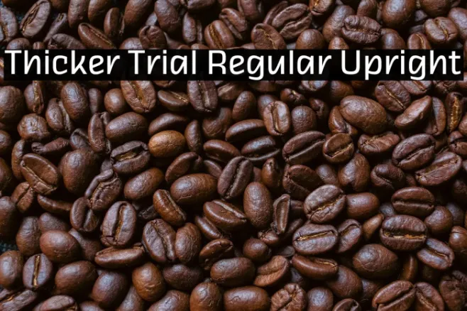 Thicker Trial Regular Upright Font | Free Download (TTF/OTF) | FFonts.