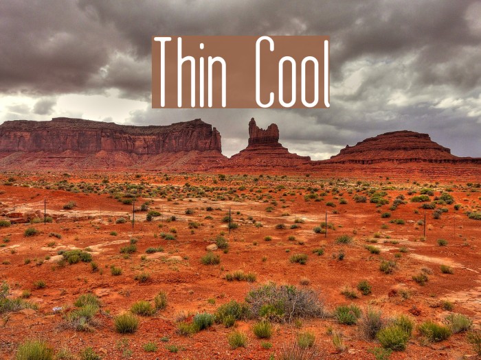 Thin Cool Font FFonts