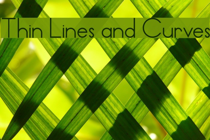 Thin Lines and Curves Font - FFonts.net