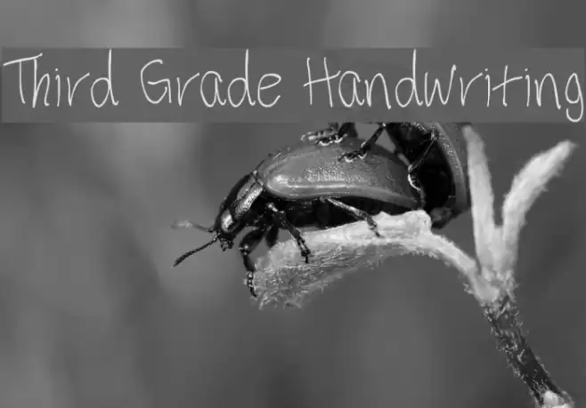 Third Grade Handwriting Font | Free Download (TTF/OTF) | FFo