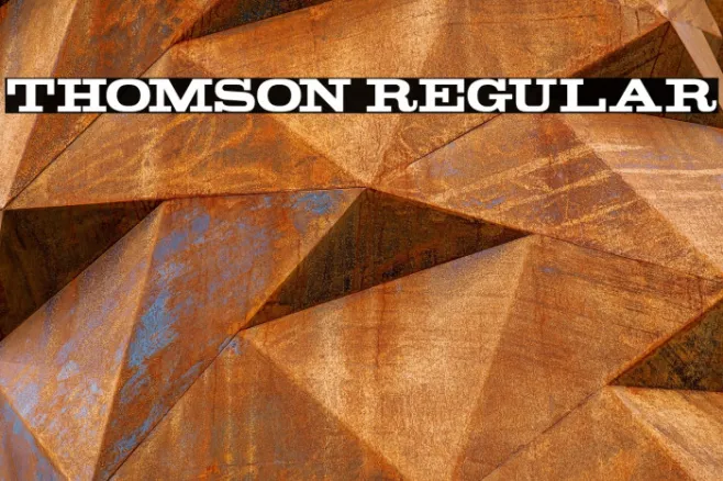 Thomson Regular Font | Free Download (TTF/OTF) | FFonts.net