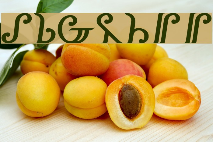 Thorass Font - FFonts.net