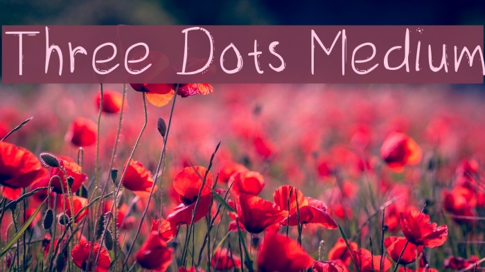 Three Dots Medium Font - FFonts.net