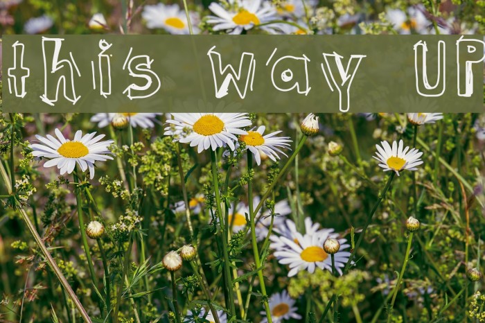 this way UP Font - FFonts.net