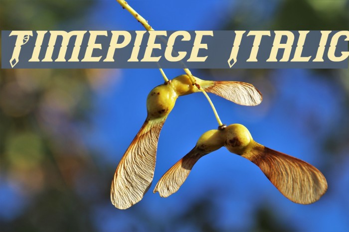 Timepiece Italic Font - FFonts.net
