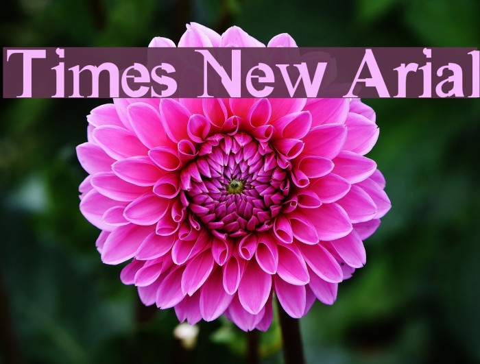 Times New Arial Font - FFonts.net