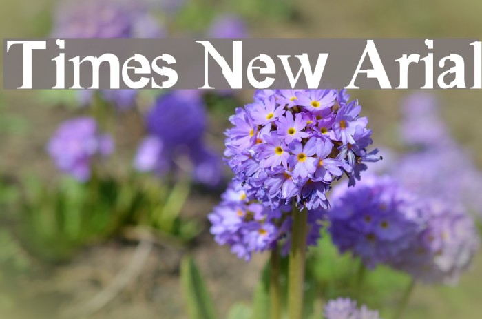 Times New Arial Font - FFonts.net