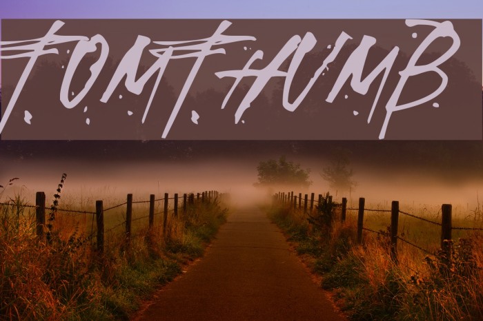 TOMTHUMB Font - FFonts.net