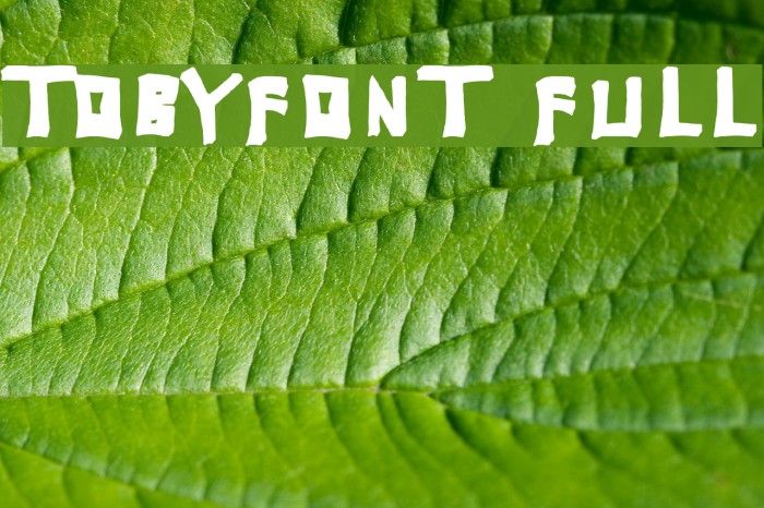 TobyFont Full Font - FFonts.net