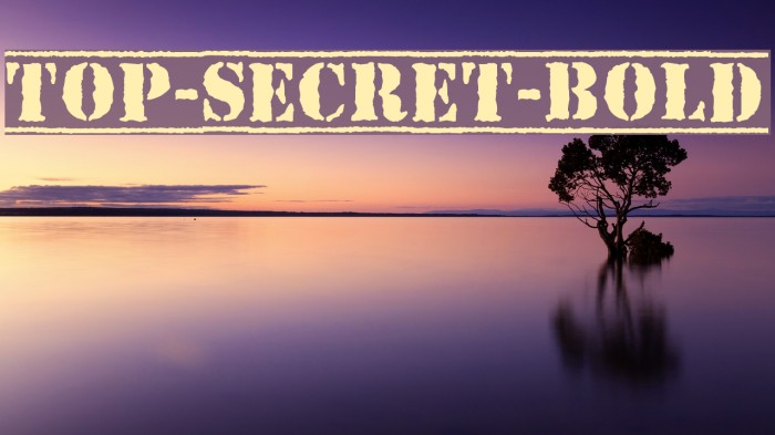 Top-Secret-Bold Font - FFonts.net