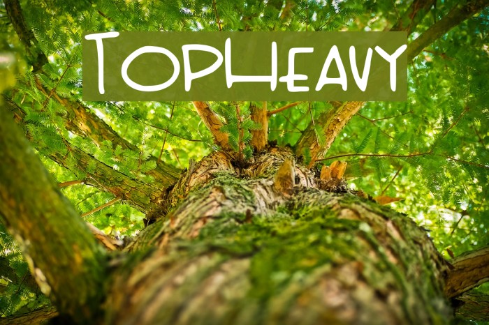 TopHeavy Font - FFonts.net