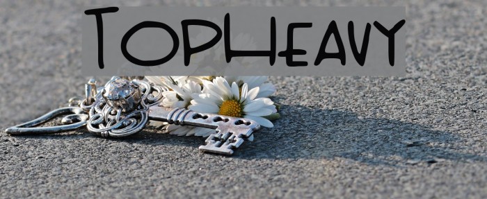 TopHeavy Font - FFonts.net