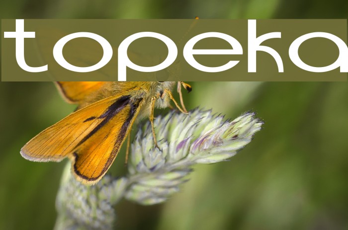 Topeka Font - FFonts.net