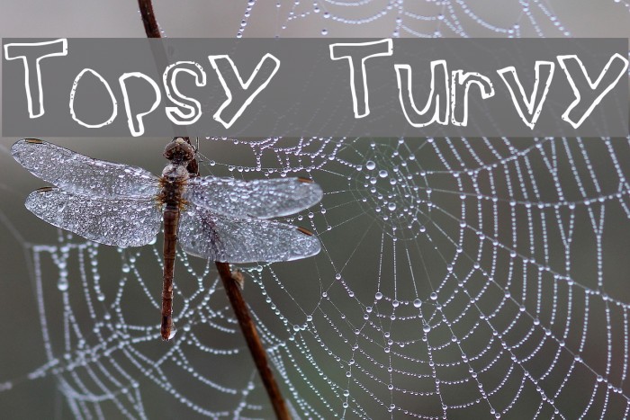 Topsy Turvy Font - FFonts.net