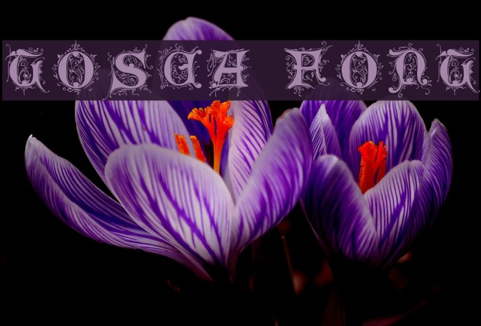 Tosca Font - FFonts.net