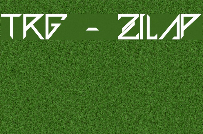 TRG - Zilap Font - FFonts.net