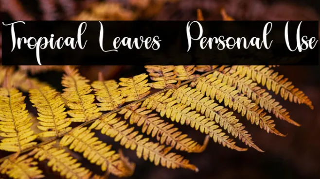 Tropical Leaves - Personal Use Font | Free Download (TTF/OTF) | FFonts