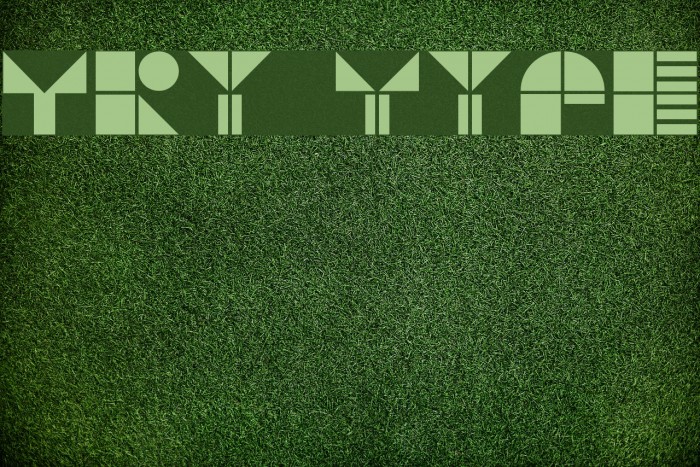 Try type Font - FFonts.net