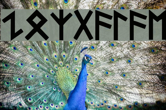 Turkish Font - FFonts.net