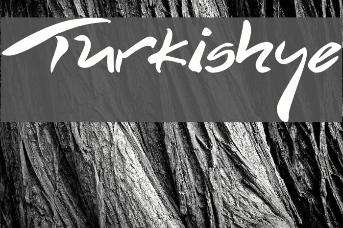 Turkishye Font - FFonts.net