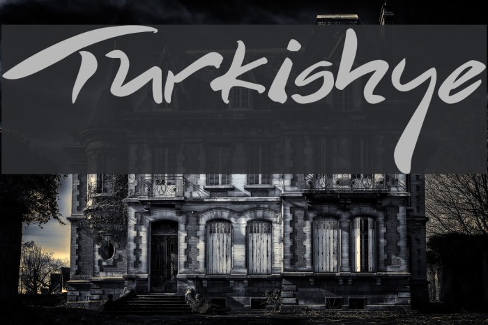 Turkishye Font - FFonts.net