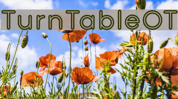 TurnTableOT Font - FFonts.net
