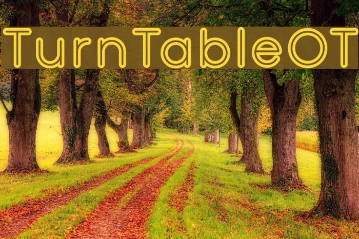 TurnTableOT Font - FFonts.net
