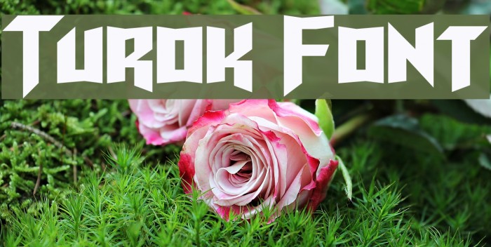Turok Font - FFonts.net