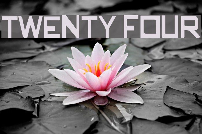 twenty four Font - FFonts.net