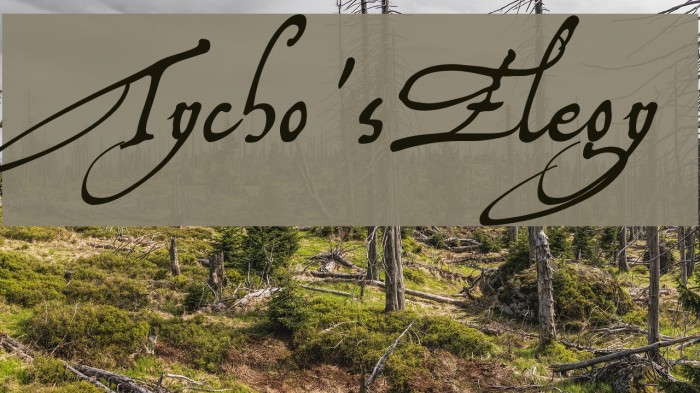 Tycho'sElegy Font - FFonts.net