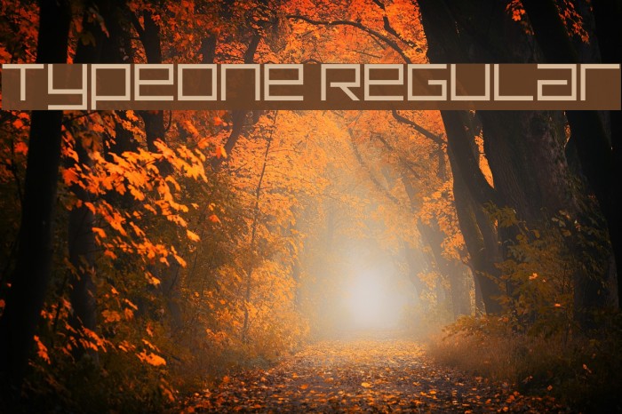 TypeOne Regular Font - FFonts.net