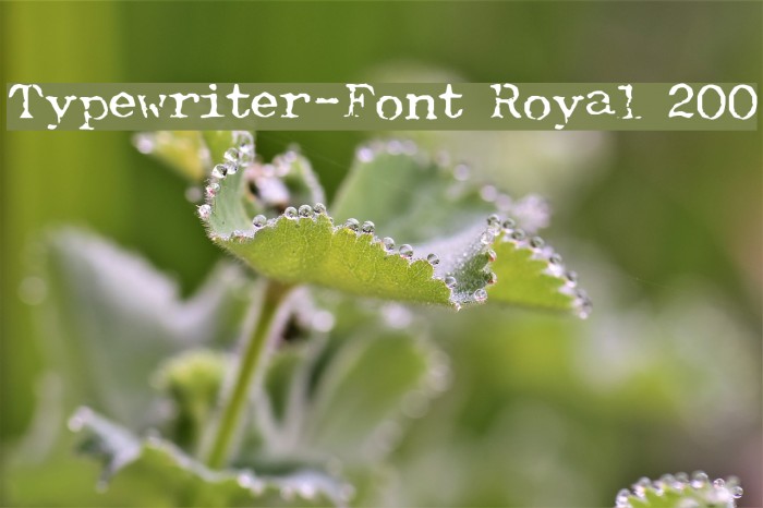 Typewriter-Font [Royal 200] Font - FFonts.net