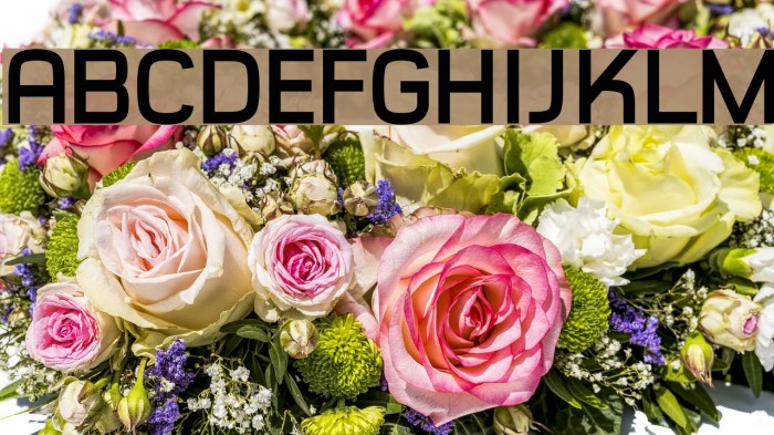 Typo Style Demo Bold Font - FFonts.net