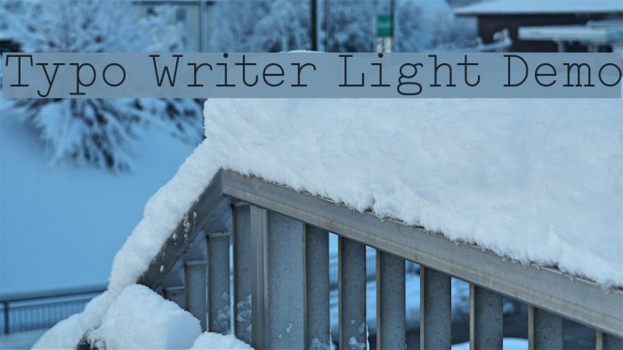 Typo Writer Light Demo Font - FFonts.net