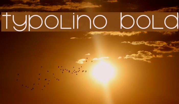 Typolino Bold Font - FFonts.net