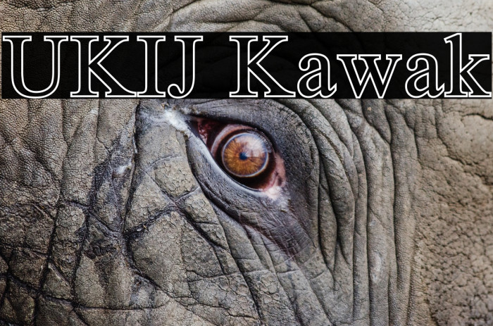 UKIJ Kawak Font - FFonts.net