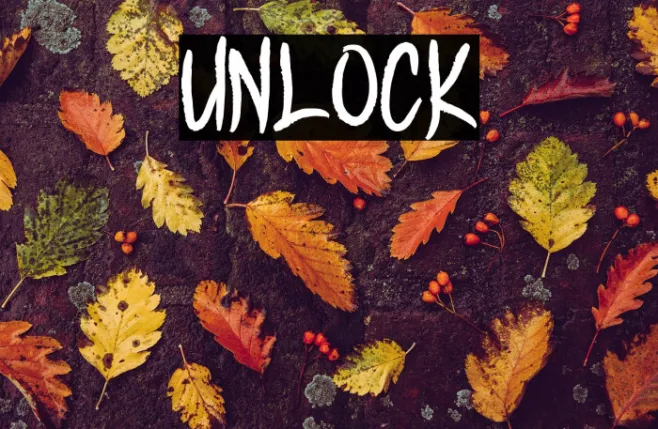 UNLOCK Font | Free Download (TTF/OTF) | FFonts.net