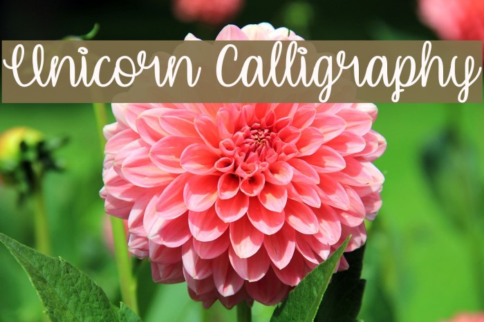 Unicorn Calligraphy Font - FFonts.net