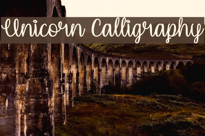 Unicorn Calligraphy Font - FFonts.net