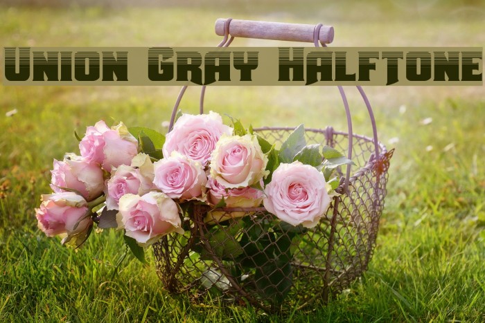 Union Gray Halftone Font - FFonts.net