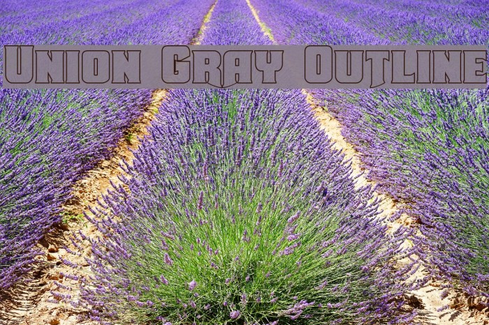 Union Gray Outline Font - FFonts.net