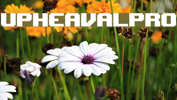 UpheavalPro Font - FFonts.net