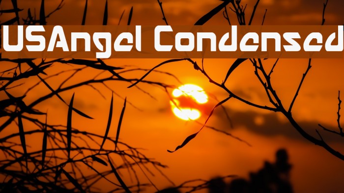 USAngel Condensed Font - FFonts.net