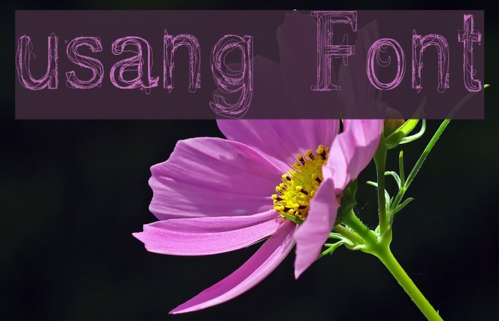usang Font - FFonts.net