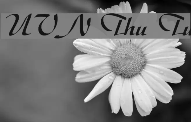 UVN Thu Tu Font | Free Download (TTF/OTF) | FFonts.net