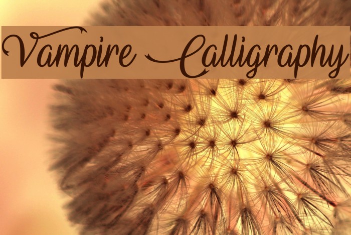 Vampire Calligraphy Font - FFonts.net