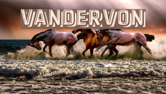 vandervon Font - FFonts.net