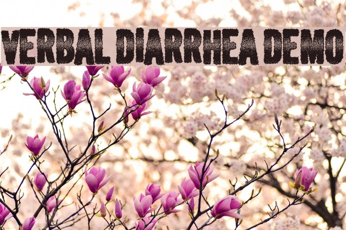 Verbal Diarrhea DEMO Font - FFonts.net