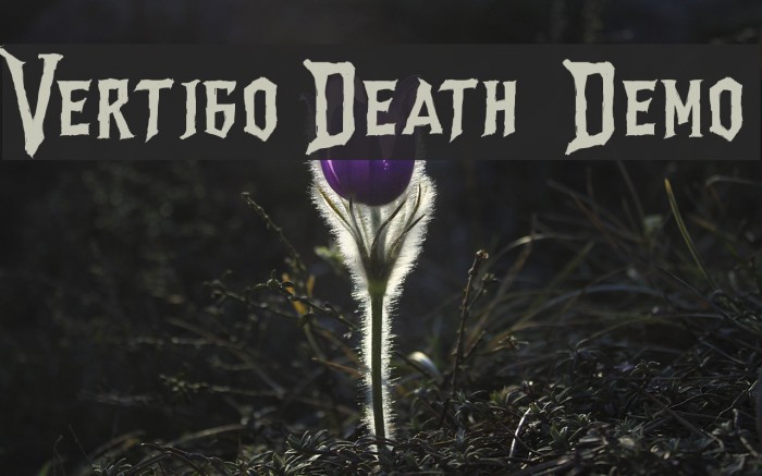 Vertigo Death - Demo Font - FFonts.net